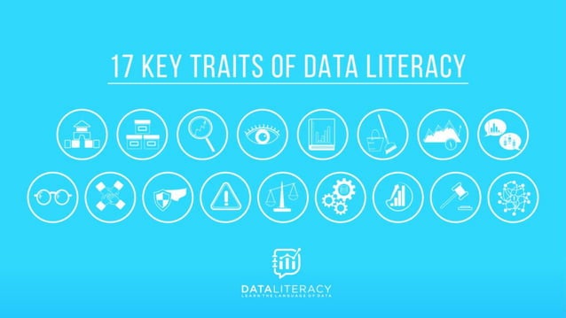 17 Key Traits of Data Literacy | PPT