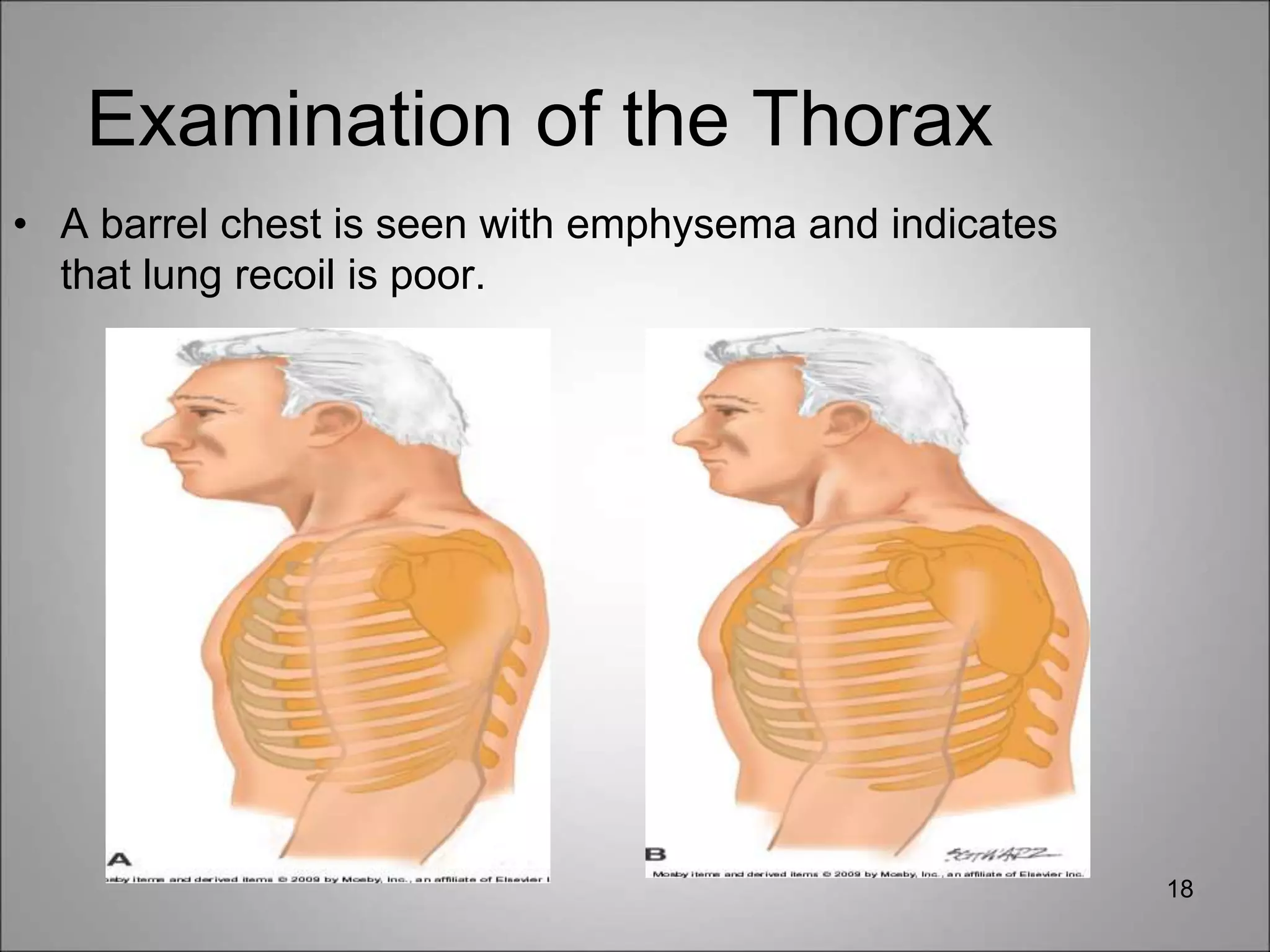 17 lec PatientBedside Assessment.ppt