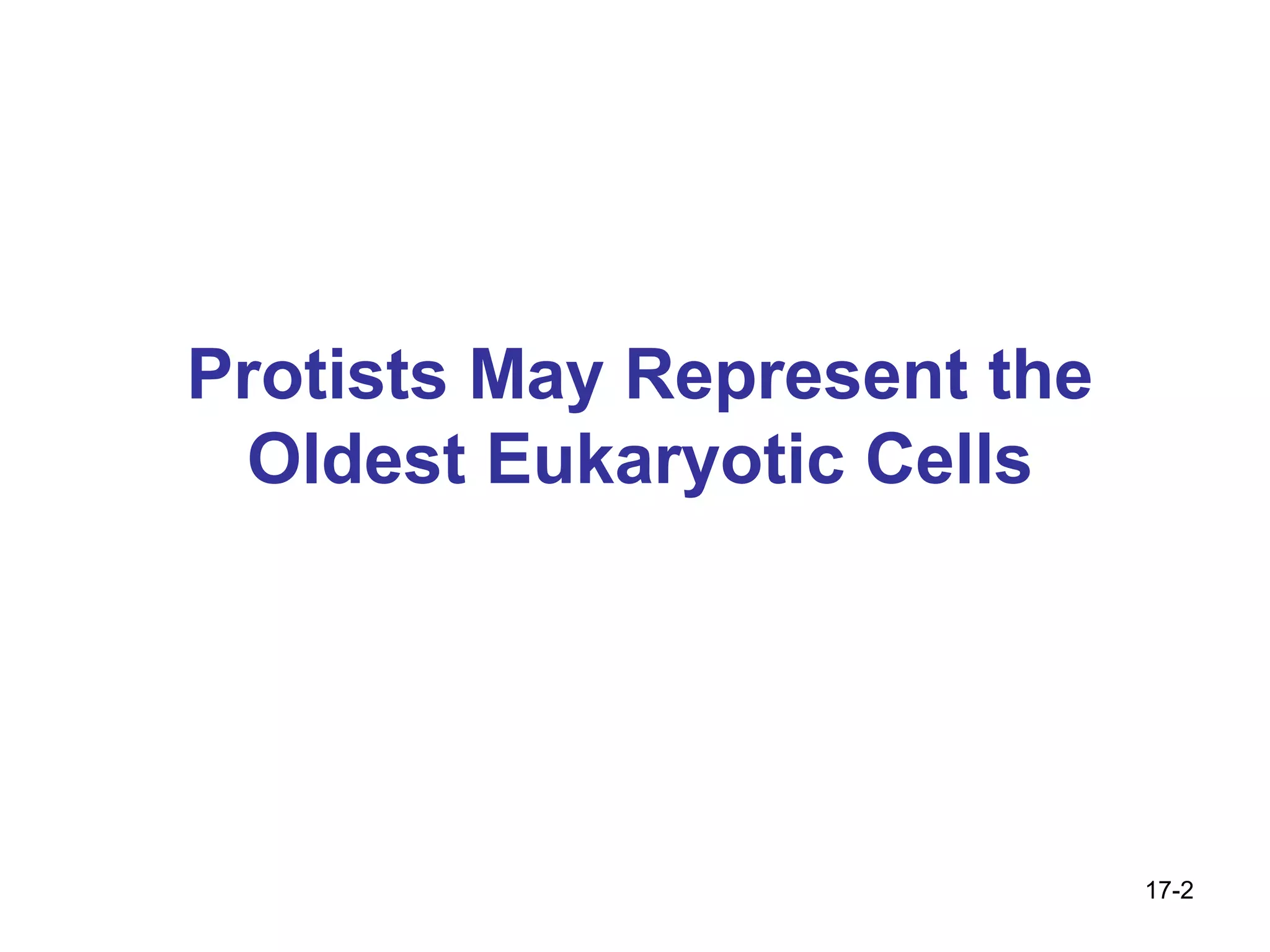 Evolution of Protists | PPT