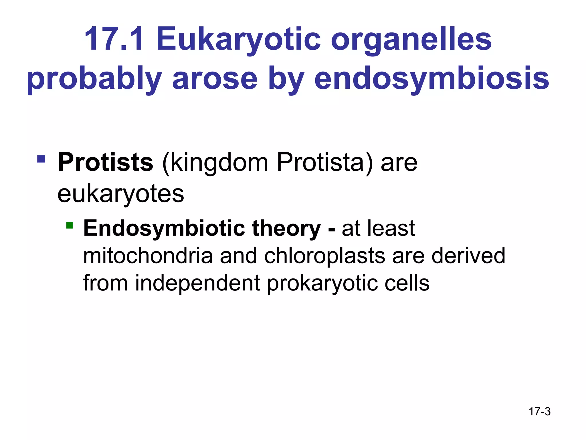 Evolution of Protists | PPT
