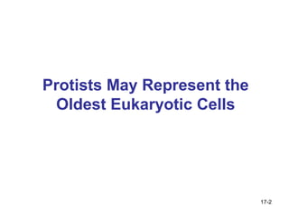 Evolution of Protists | PPT