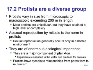 Evolution of Protists | PPT