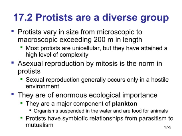 Evolution of Protists | PPT | Biological Sciences | Science