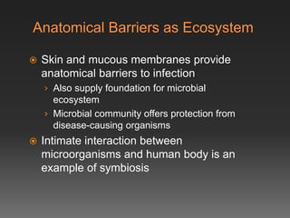 17_lecture_ppt_final. .ppt