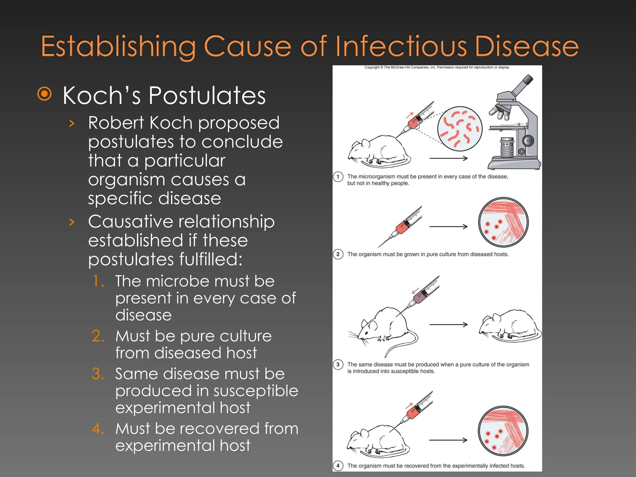 host and microbe interaction in microbiology | PPT