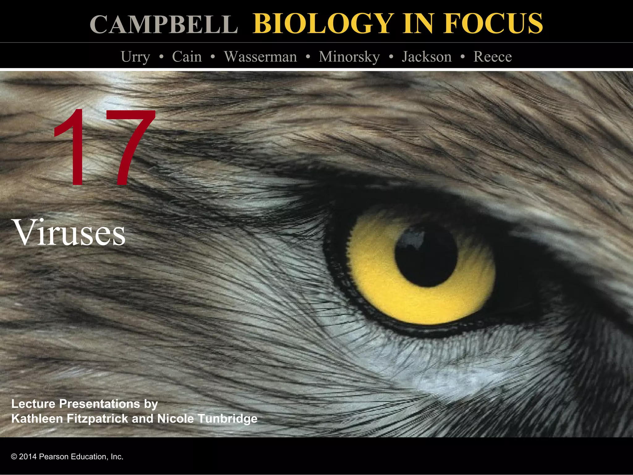 Biology in Focus - Chapter 17 | PPT