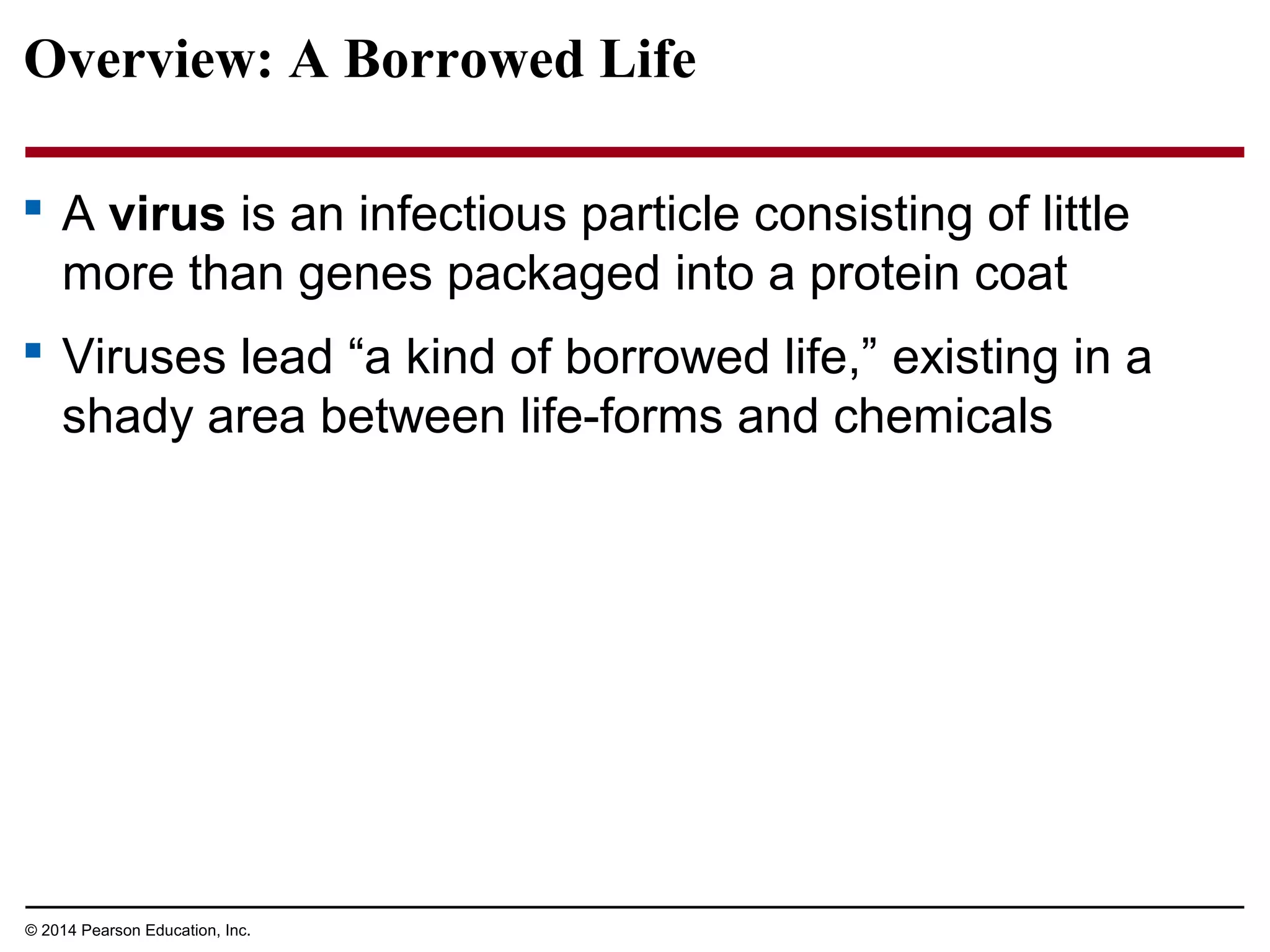 Biology in Focus - Chapter 17 | PPT