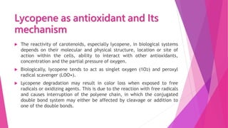 17 Lycopene.pptx