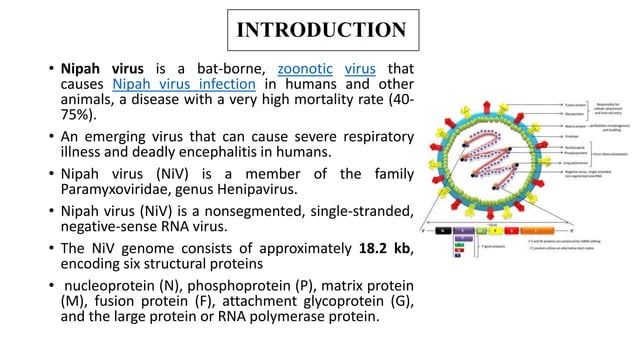 Nipah Virus Infection (NiV) | PPT