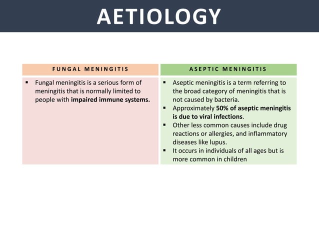 Management of Meningitis | PPTX | Brain and Nervous System Disorders ...