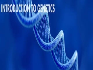 Biogenetic Analysis | PPT