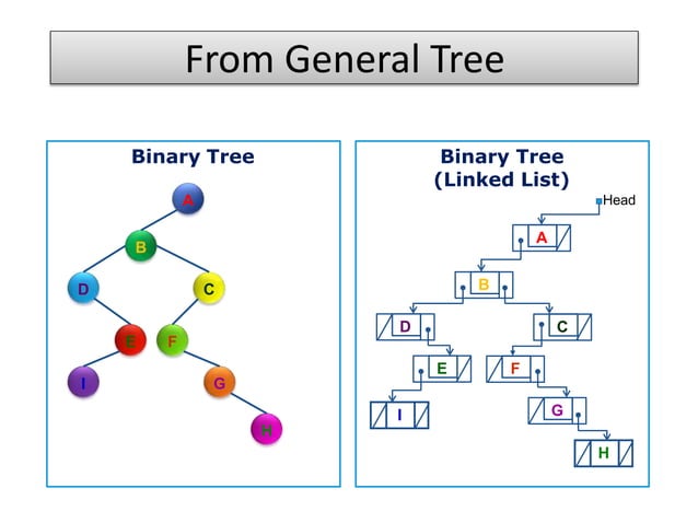 Binary Tree in Data Structure | PPTX | Programming Languages | Computing