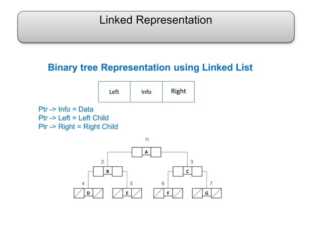 Binary Tree In Data Structure PPT Binary Tree In Data Structure PPT
