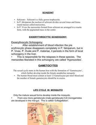 17 micribiology intro to parasito malaria | DOC