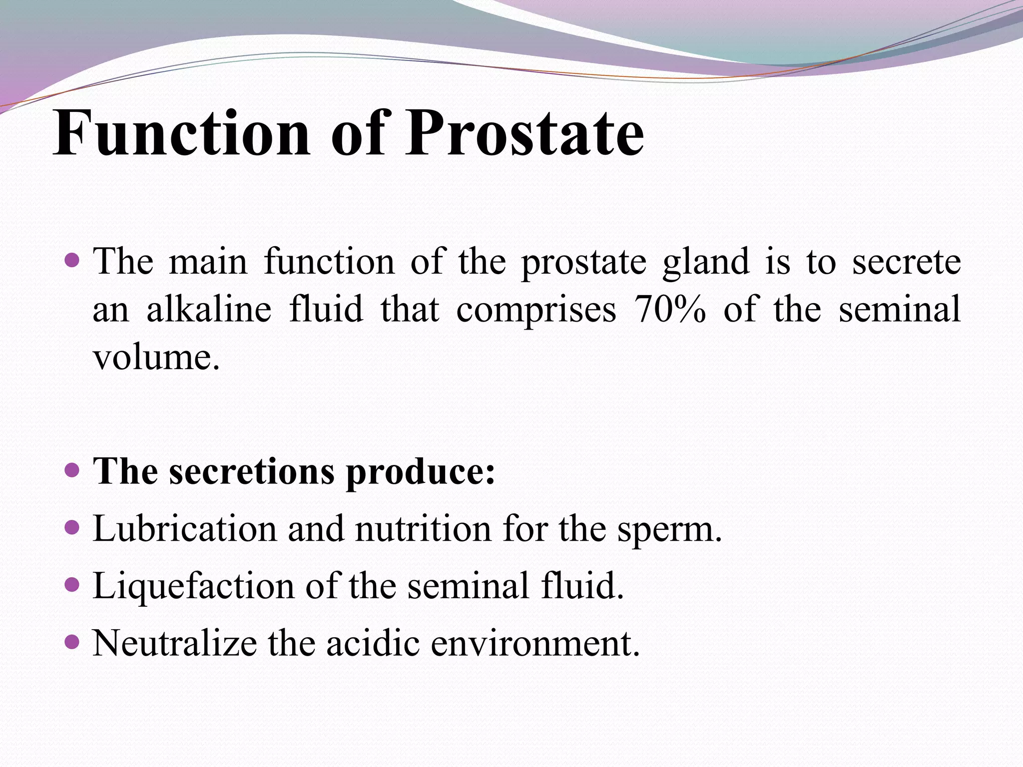 Benign Prostate Hypertrophy | PPTX