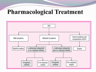 Benign Prostate Hypertrophy | PPTX