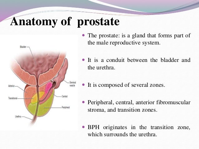 Benign Prostate Hypertrophy