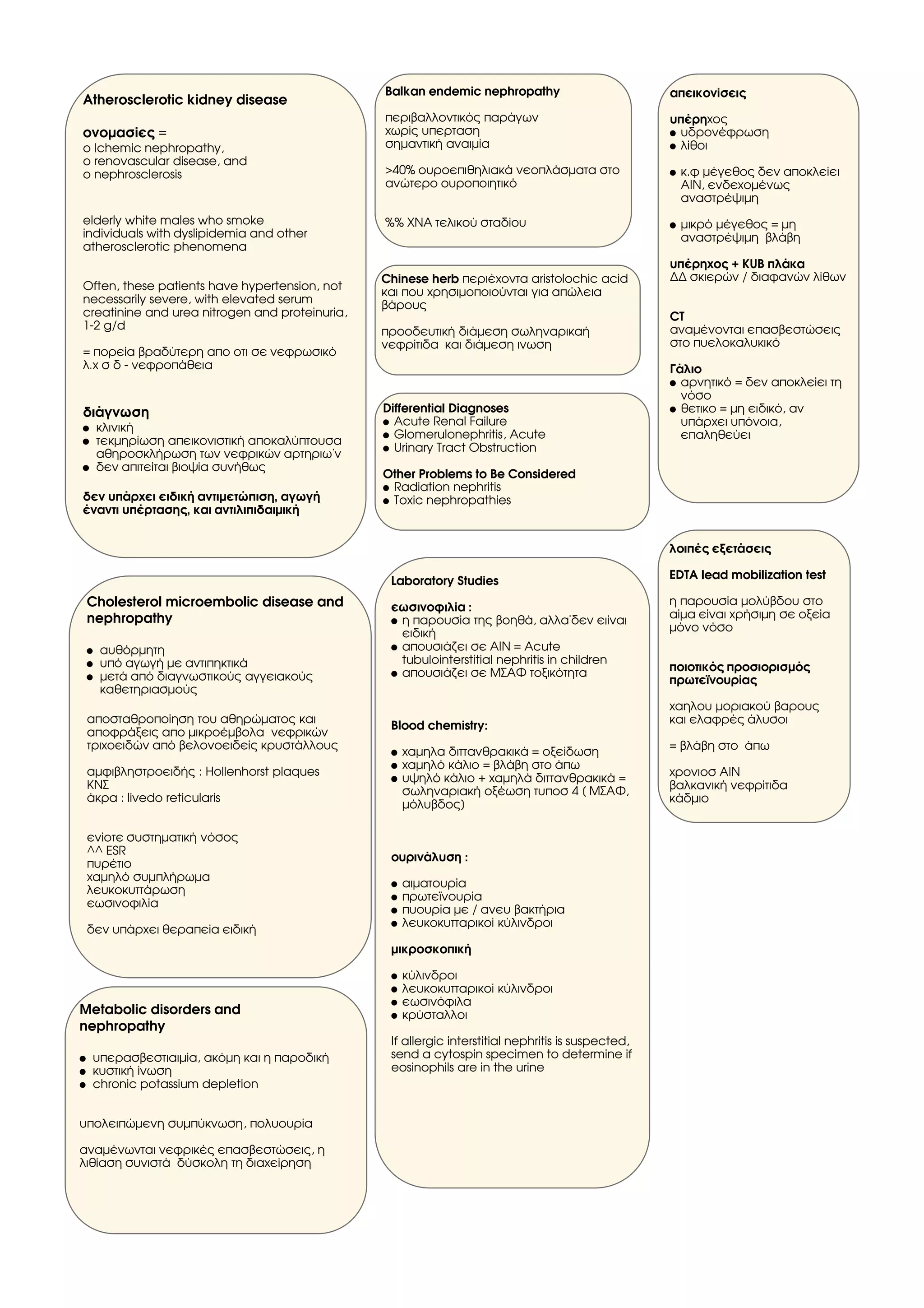 17 Nephritis Interstitial__ | PDF
