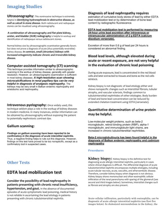 17 Nephritis Interstitial | PDF | Free Download