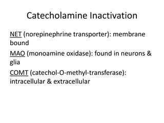 Neuropharmacology: Catecholamines | PPTX