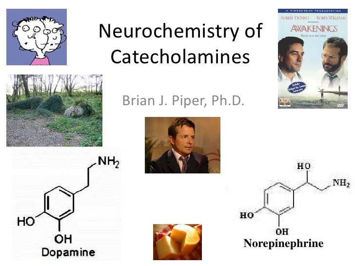 Neuropharmacology: Catecholamines