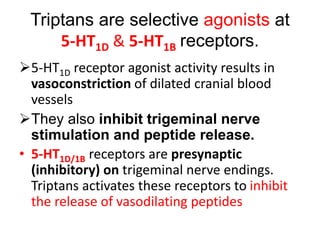 (17) (online) Migraine 11-5-2021.pptx