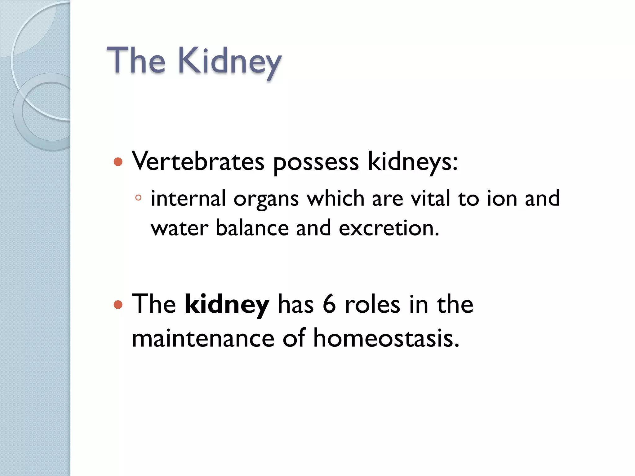 17 Osmoregulation II PPT.pdf