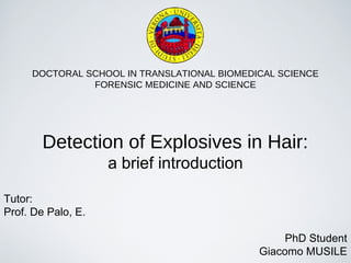 Detection of explosives in hair: a brief introduction | PPT