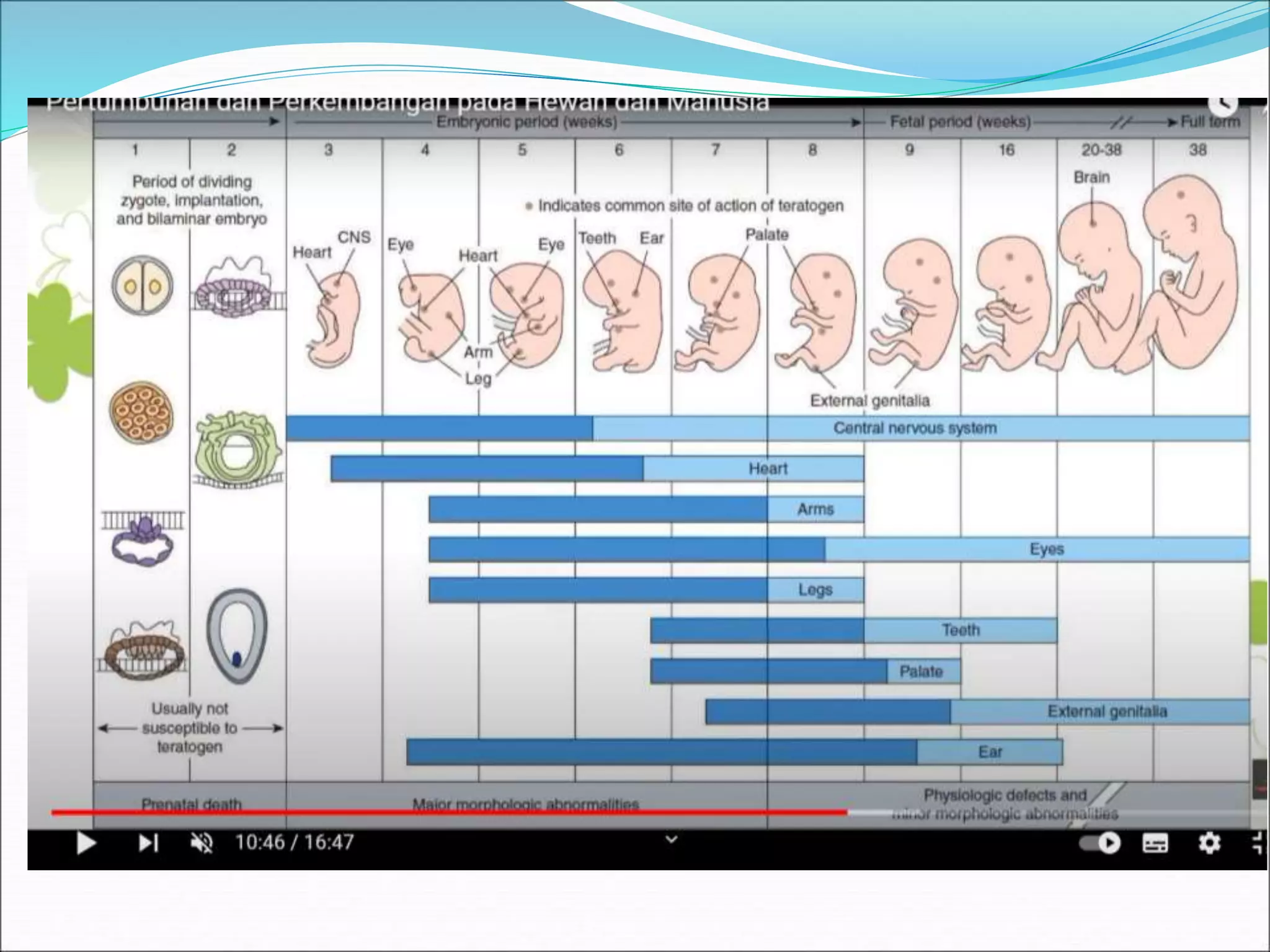 17_pertumbuhan_dan_perkembangan_rev.ppt
