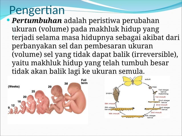 Pertumbuhan dan Perkembangan pada makhluk Hidup | PPT