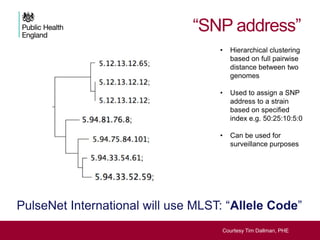 The path to implementation of Whole Genome Sequencing (WGS) in PulseNet ...