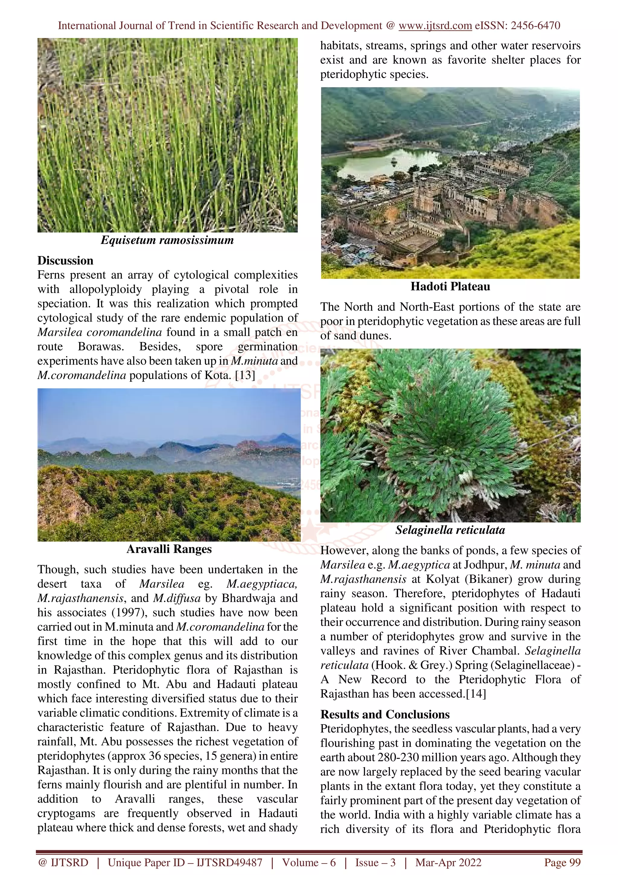 Pteridophytic Flora of Rajasthan A Review | PDF