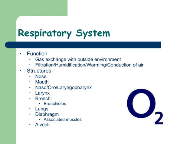 17)Respiratory Emergencies | PPT | Lung and Respiratory Health ...