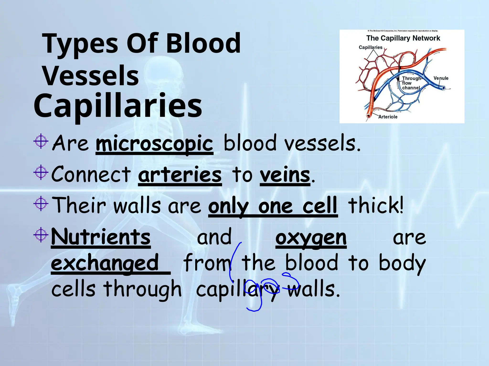 DIFFERENT HUMAN BODY SYSTEMS THAT WORKS TOGETHER | PPTX