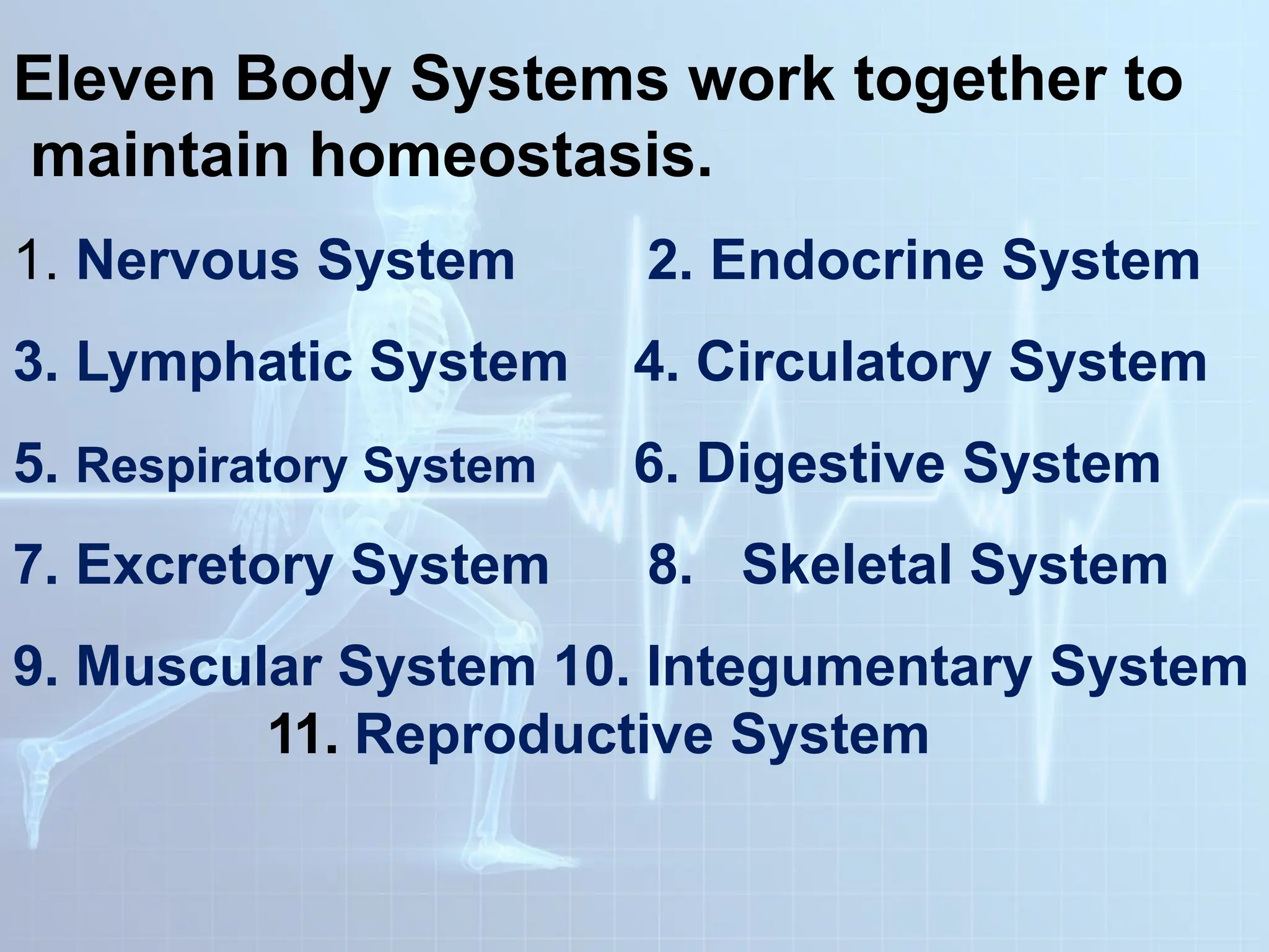 DIFFERENT HUMAN BODY SYSTEMS THAT WORKS TOGETHER | PPTX