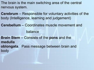 DIFFERENT HUMAN BODY SYSTEMS THAT WORKS TOGETHER | PPTX
