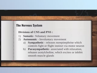 DIFFERENT HUMAN BODY SYSTEMS THAT WORKS TOGETHER | PPTX