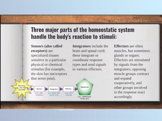 DIFFERENT HUMAN BODY SYSTEMS THAT WORKS TOGETHER | PPTX