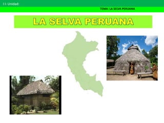 17 selva peruana 222 | PPTX