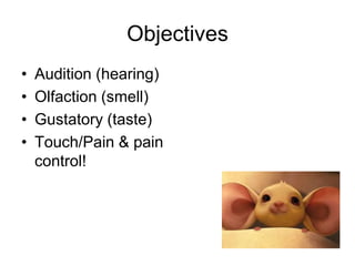 Introductory Psychology: Sensation & Perception: Auditory+ | PPTX