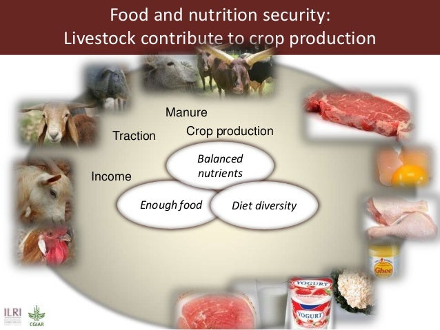 The role of livestock in food and nutrition security