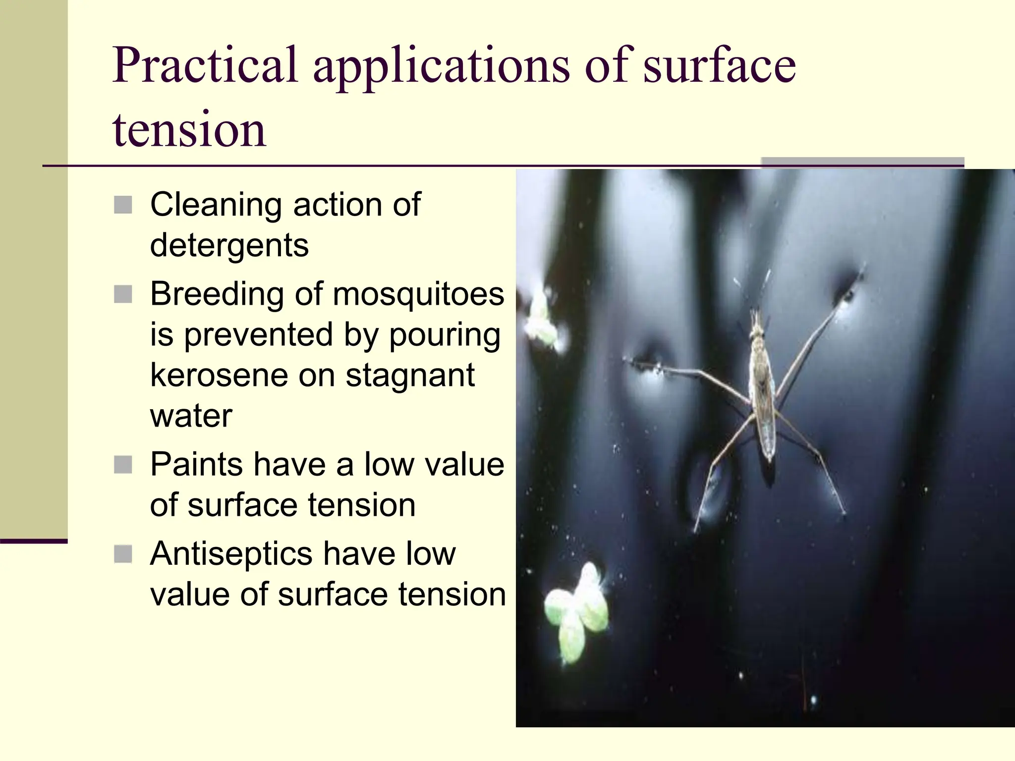 17 SURFACE TENSION.ppt