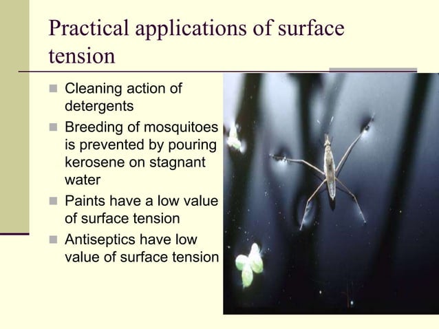 17 SURFACE TENSION.ppt