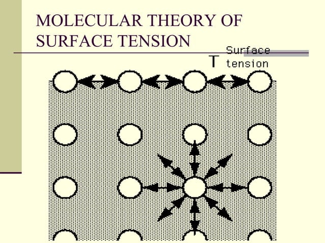 17 SURFACE TENSION.ppt
