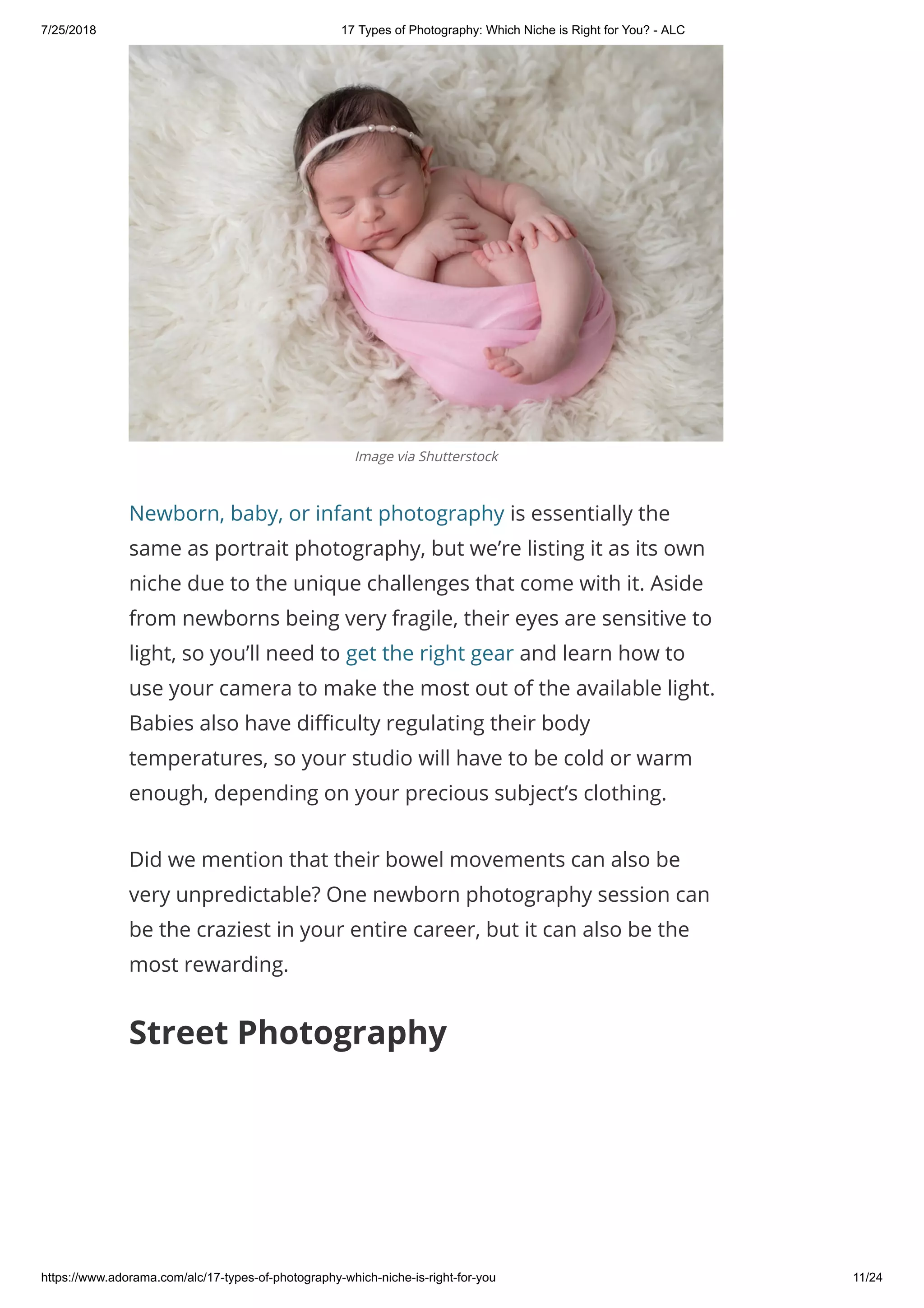 17 Types of Photography: Which Niche is Right for You? | PDF | Cameras ...