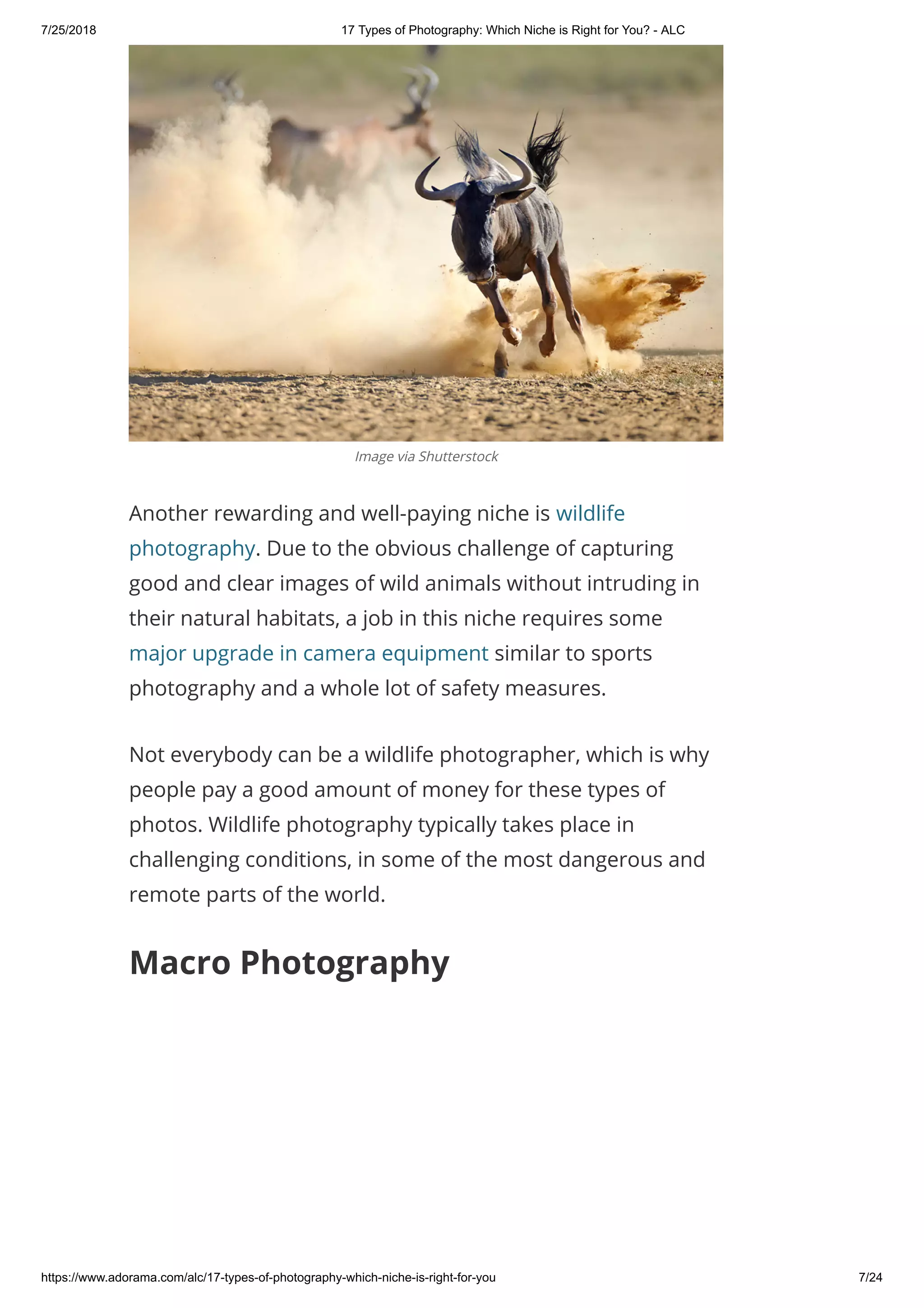 17 Types of Photography: Which Niche is Right for You? | PDF | Cameras ...
