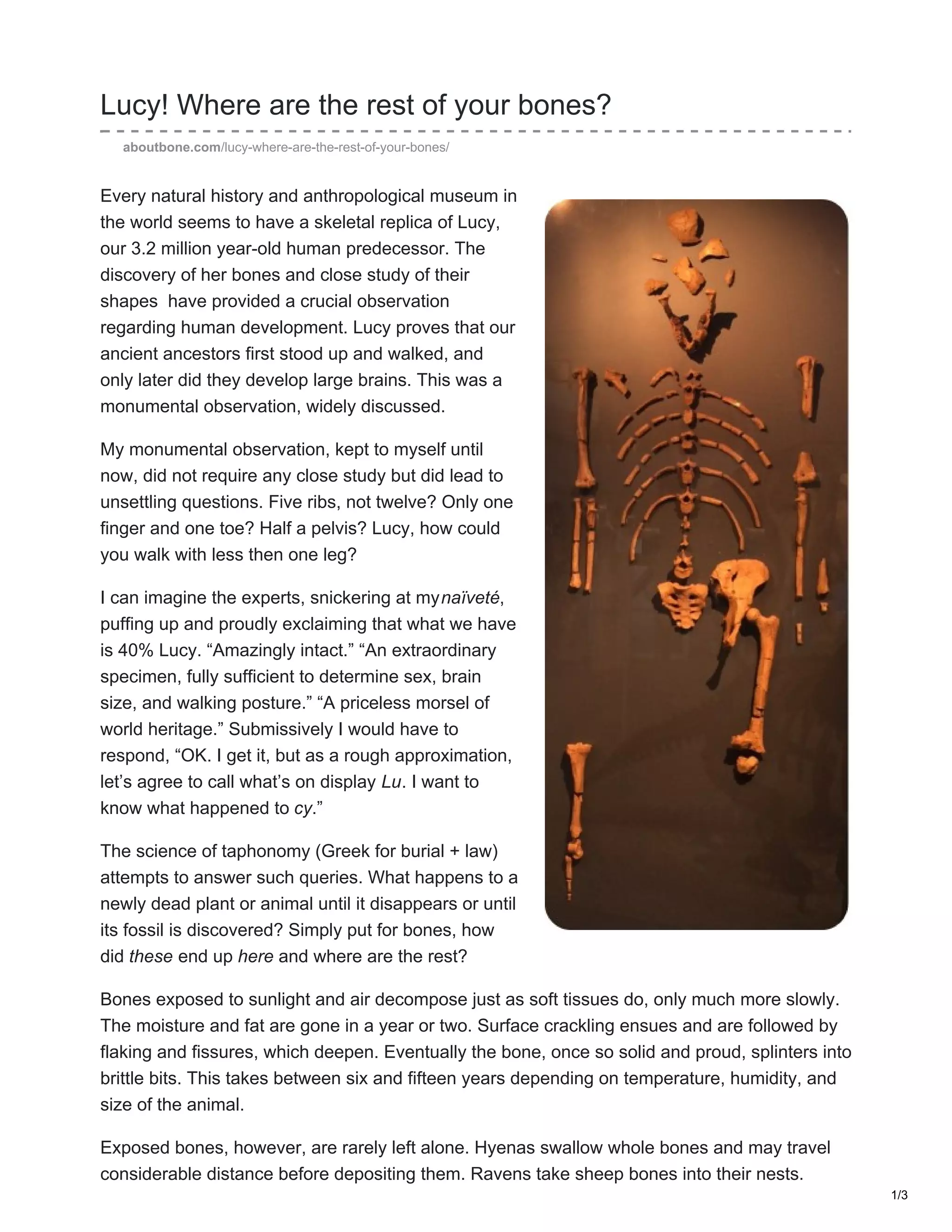 Lucy, Where are the rest of your bones? | PDF