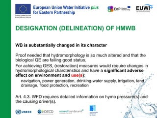 Workshop on surface Water body delineation. Hydromorphology | PPT
