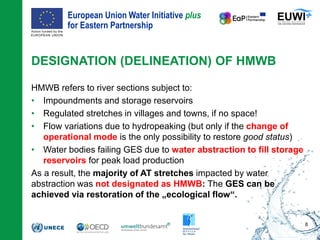 Workshop on surface Water body delineation. Hydromorphology | PPT