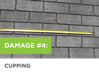 Slideshow: 7 Types of Roof Shingle Damage | PDF